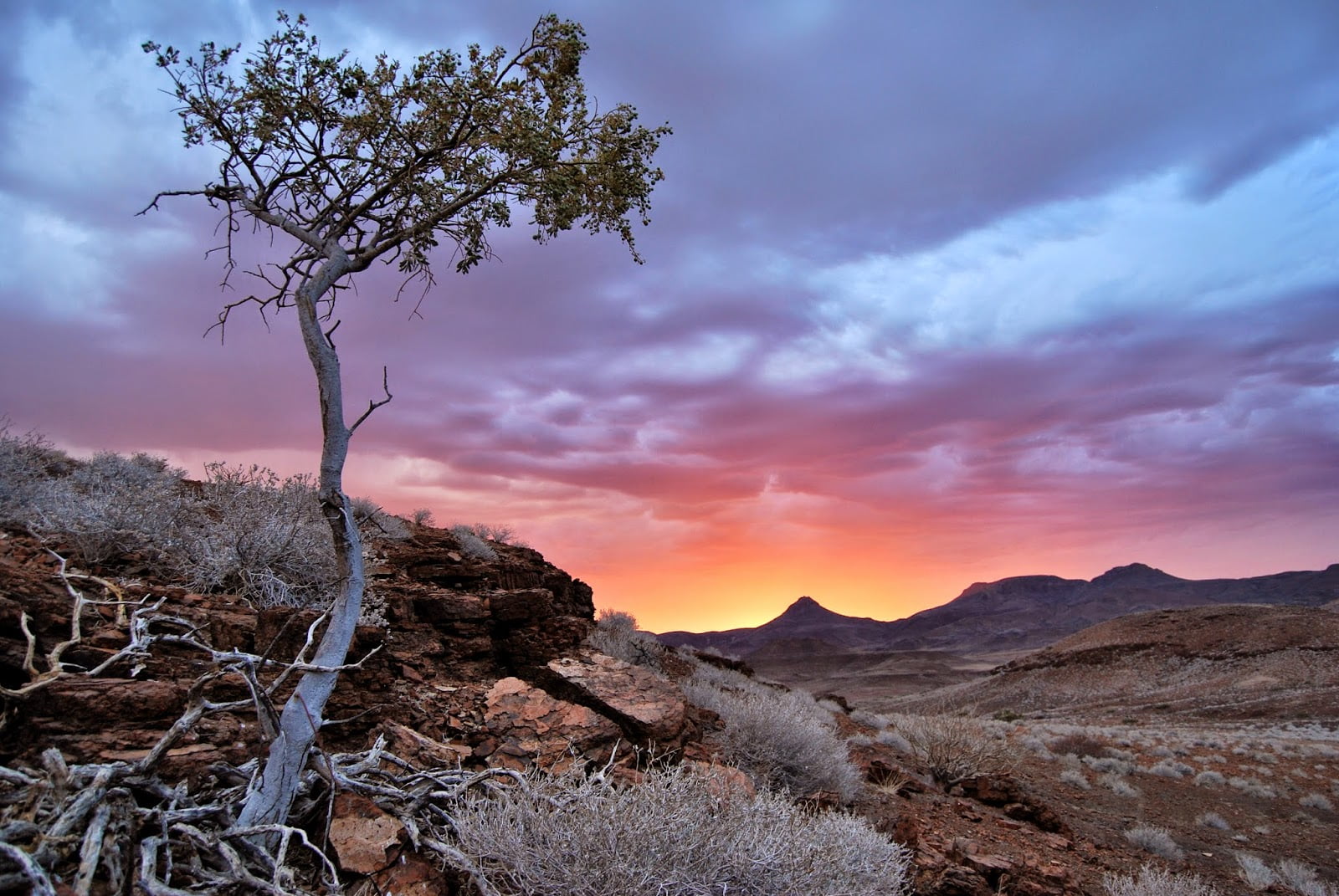 Value-add for your travelers: Namibian Summer deals! – Kusini Collection