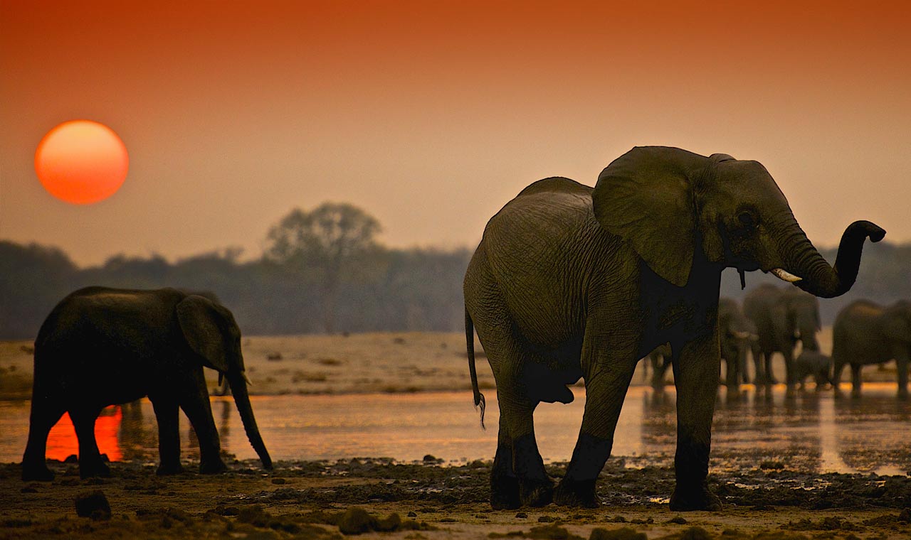 Kusini Collection – Premium Service and Truly Unique Travel Experiences