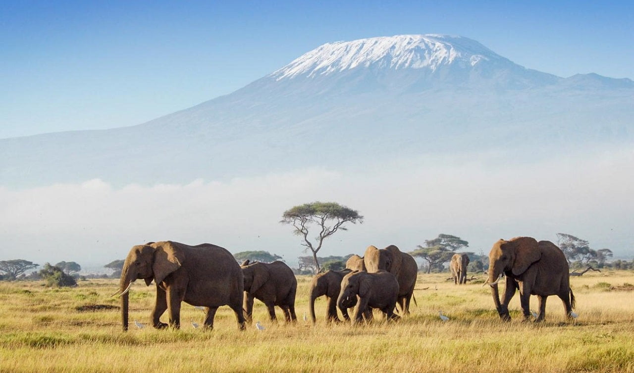 Kusini Collection – Premium Service and Truly Unique Travel Experiences