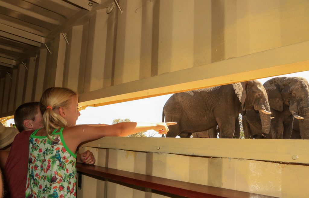 imvelo-photography-blind-families-kids-safari – Kusini Collection