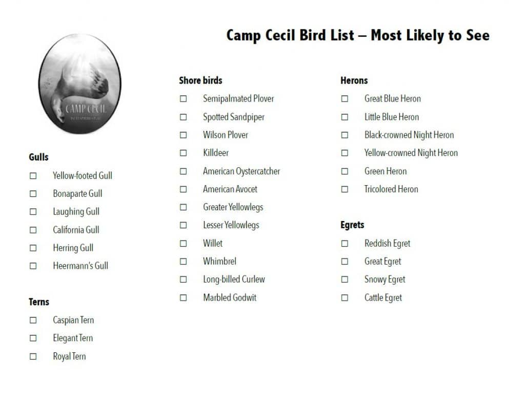 Why do we care about Espiritu Santo and other areas of Mexico? – Kusini ...