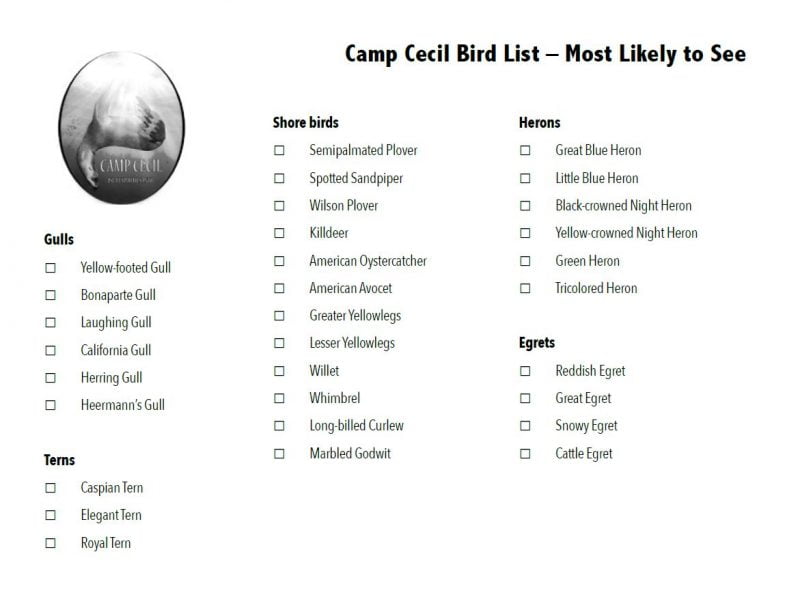 Why do we care about Espiritu Santo and other areas of Mexico? – Kusini ...