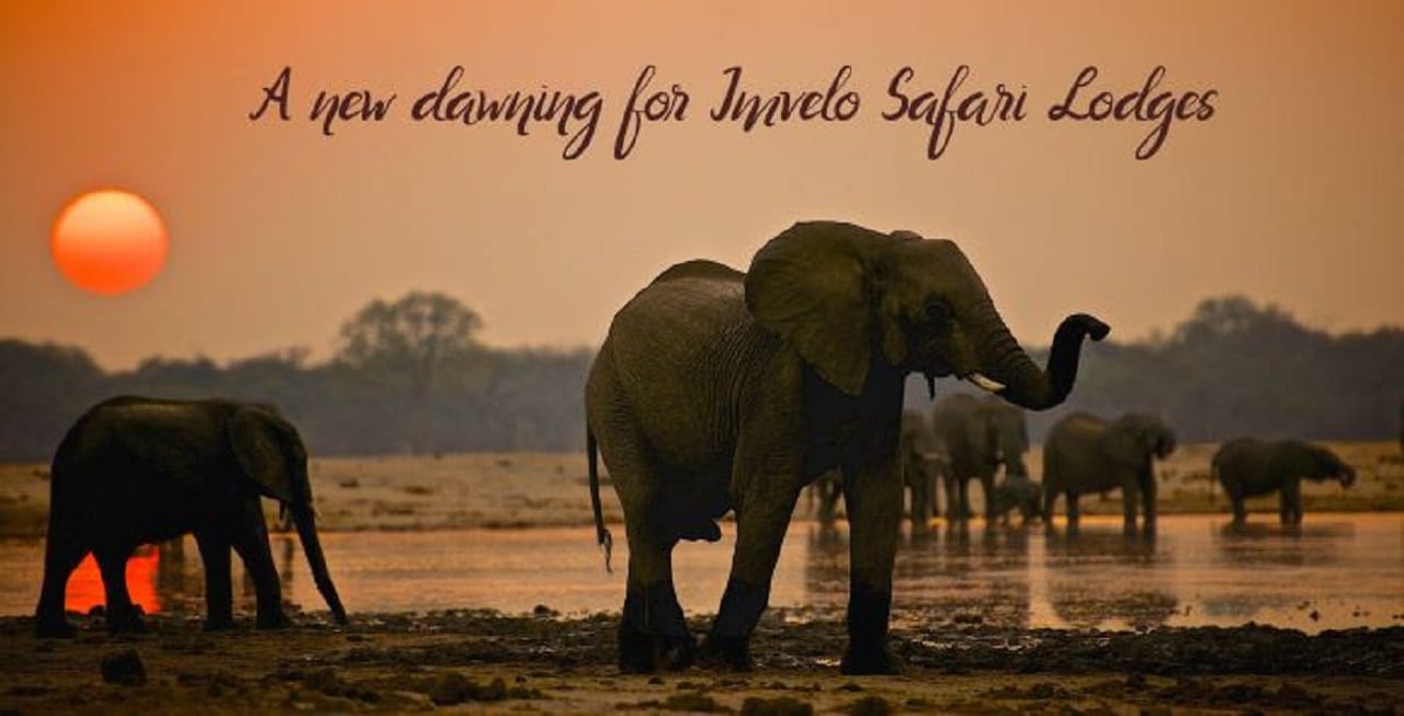 A new dawning for Imvelo Safari Lodges in Zimbabwe – Kusini Collection